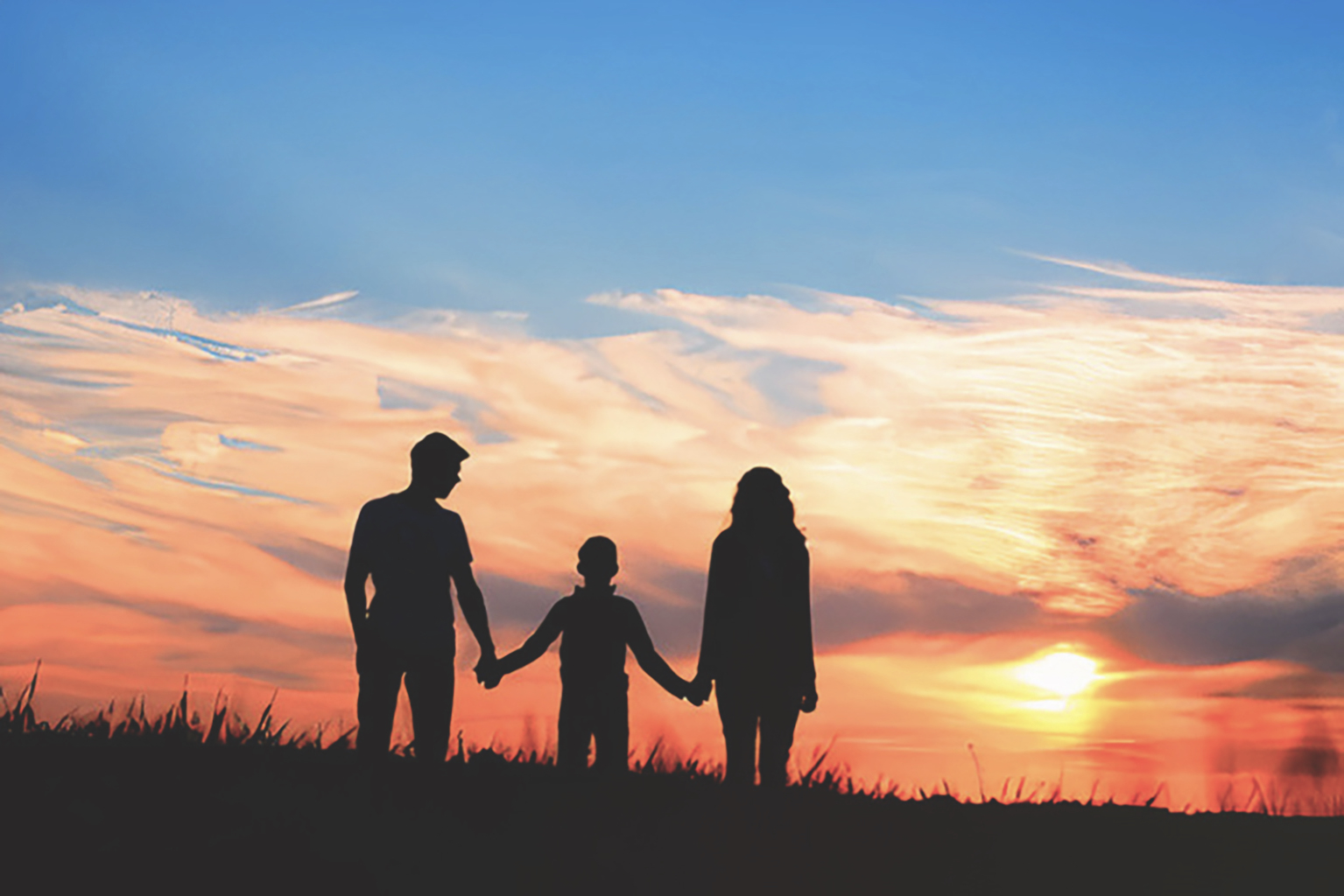 Y. Family - Sheltering Wings