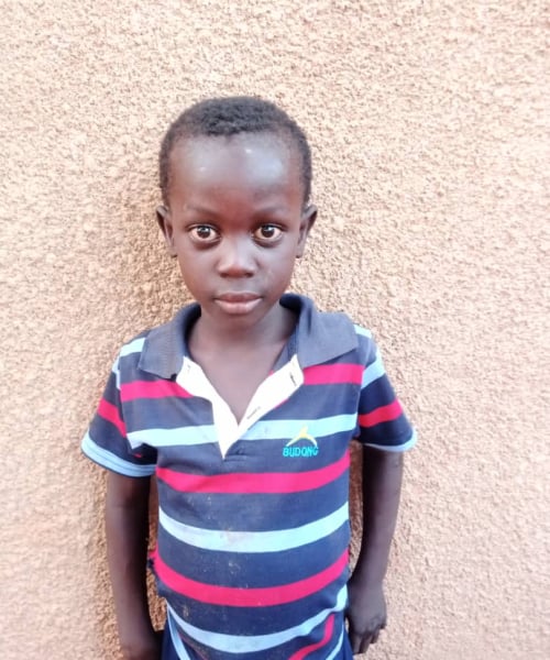 Home - Sheltering Wings