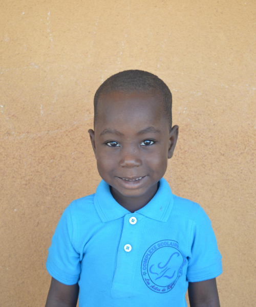 David Zida - Sheltering Wings